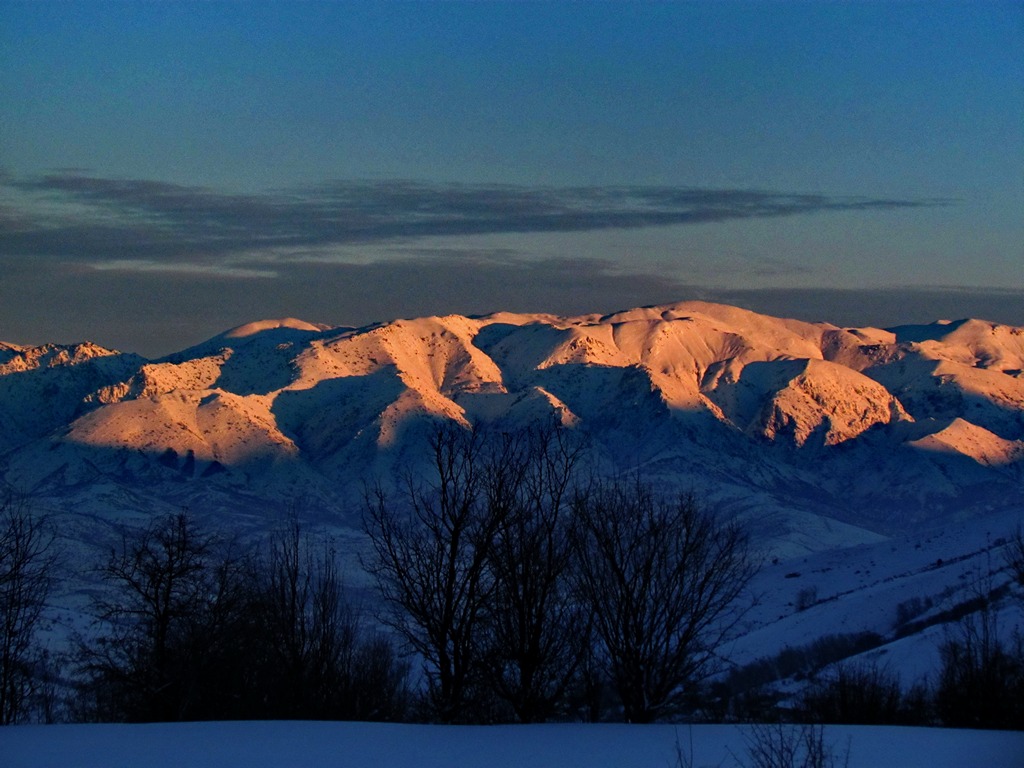 Chorvoq turistik rekreatsion zona direksiyasi